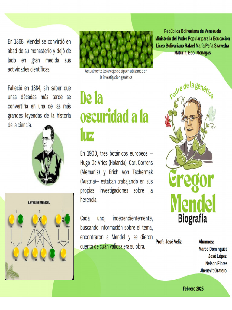 Ttriptico Gregor Mendel | PDF
