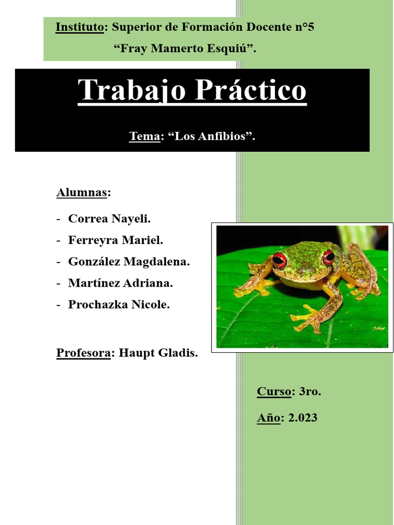 Estructura Interna de Anfibios | PDF | Branquia | Respiración