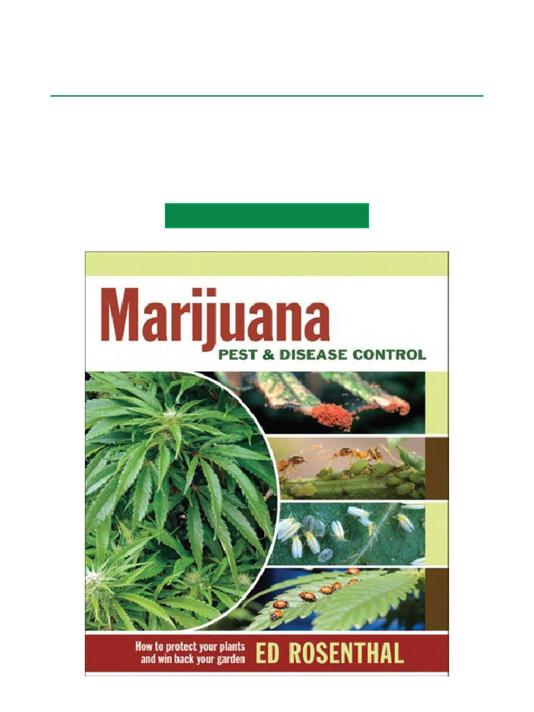 Marijuana Pest and Disease Control How To Protect Your Plants and Win ...