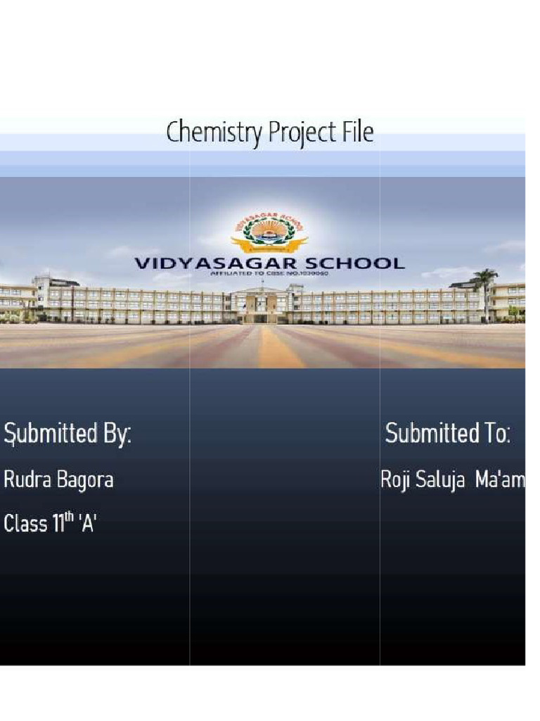 Chemistry Project Rudra | PDF