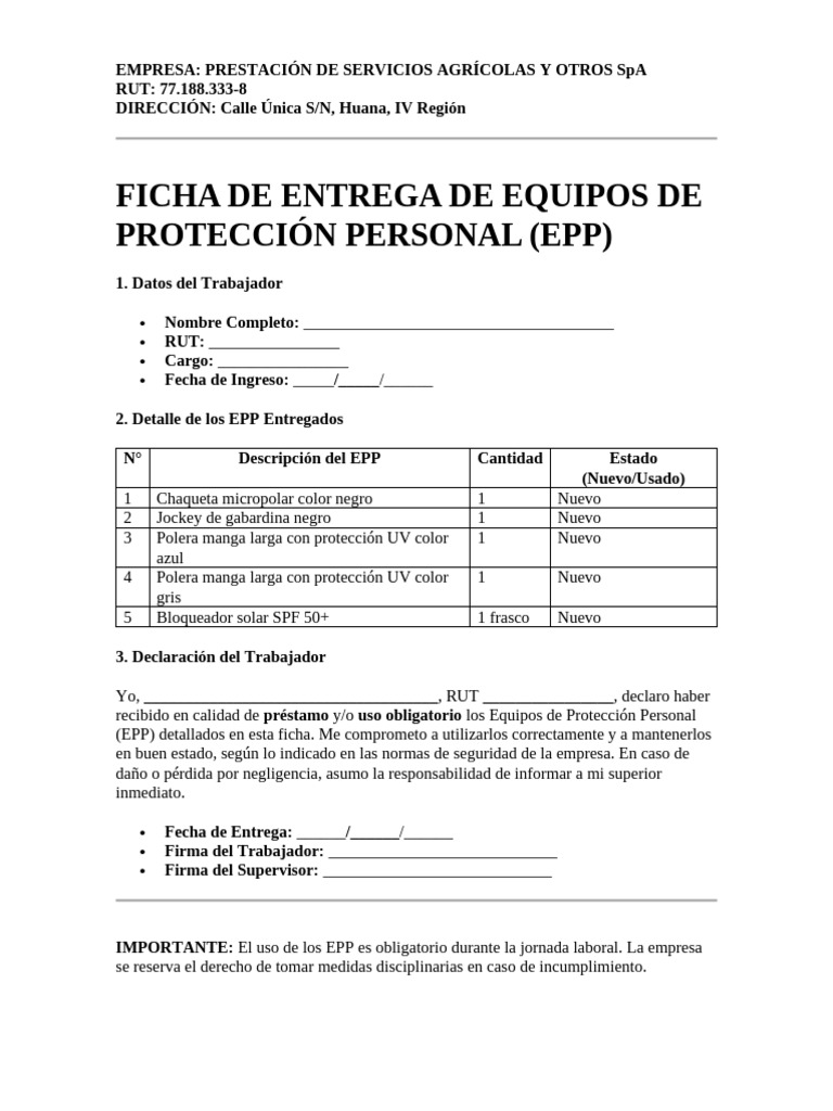 Entrega Epp | PDF
