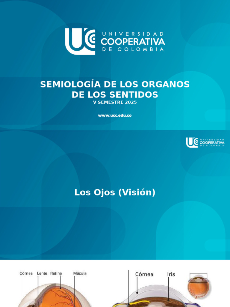 Semiologia Organo de Los Sentidos | PDF | Ojo humano | Órganos sensoriales