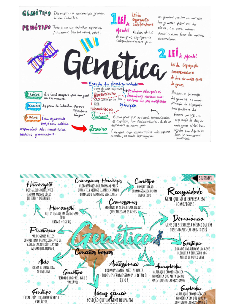 Mapa Mental Conceitos Básicos de Genética | PDF
