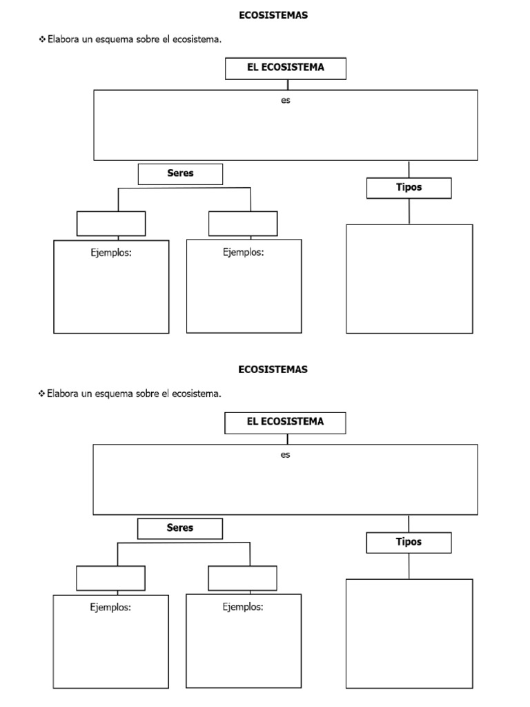 fichas de trabajo ecosistemas | PDF