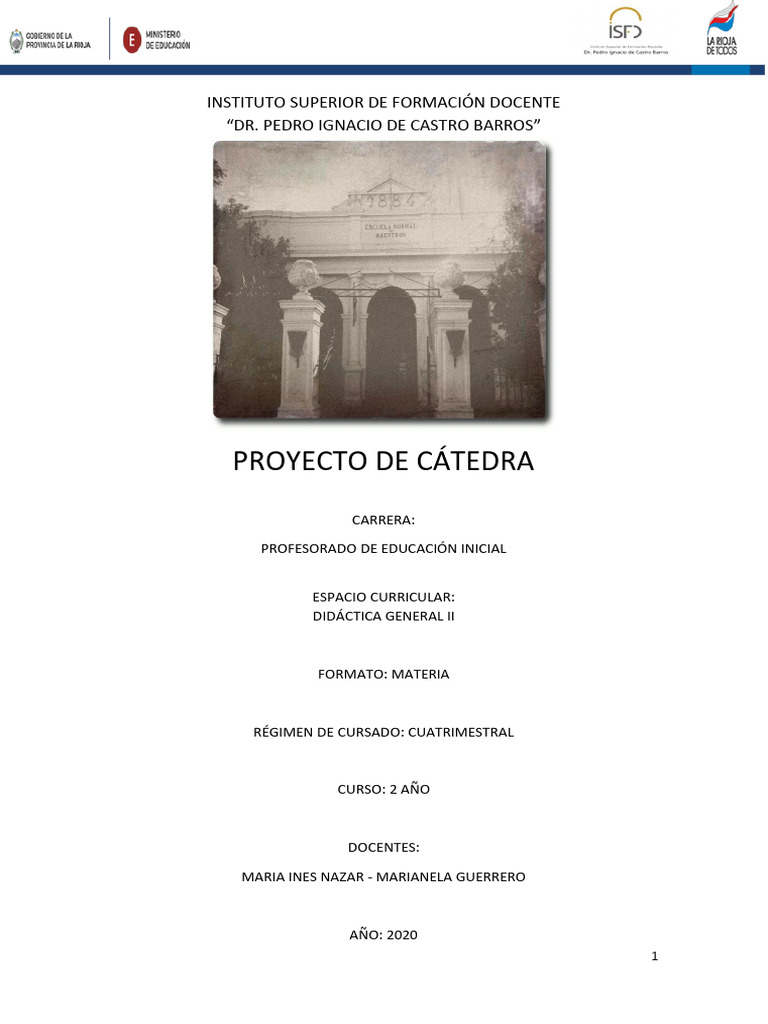 Proyecto Cát Didáct Gral N Inicial II 2020 | PDF | Evaluación | Enseñando