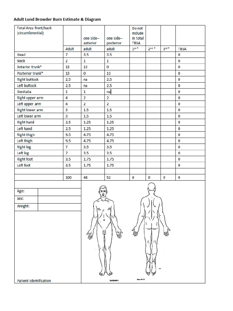Lund Browder Burn Estimate - Diagram - Adult-Pediatric | PDF
