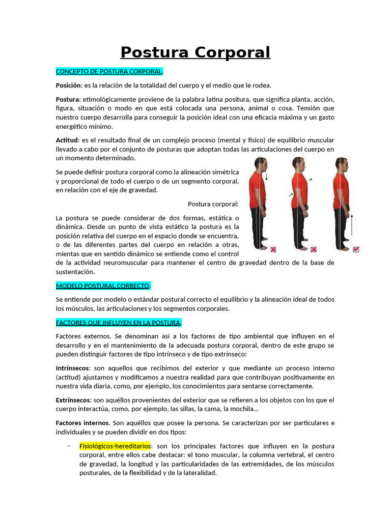 Postura Corporal | PDF | La columna vertebral