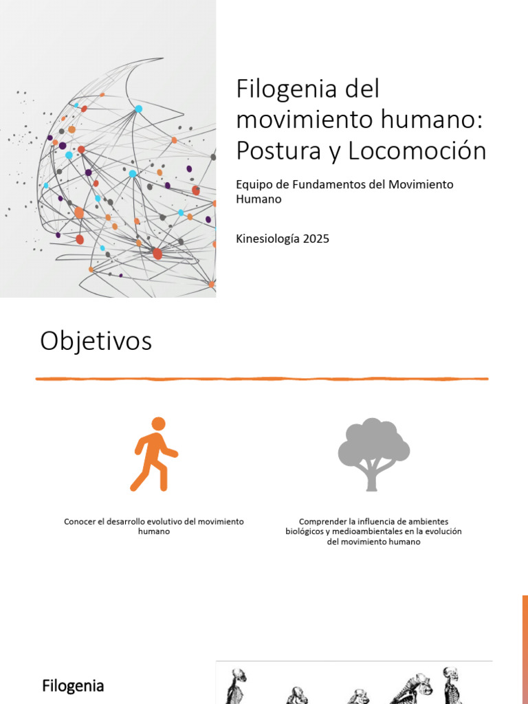 5-6. - Filogenia Del Movimiento Humano | PDF | Evolución | Humano