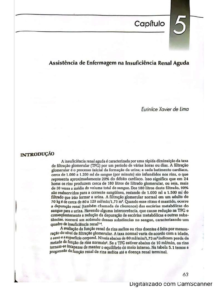 IRA - Capítulo 5 Livro 5 Paginas | PDF