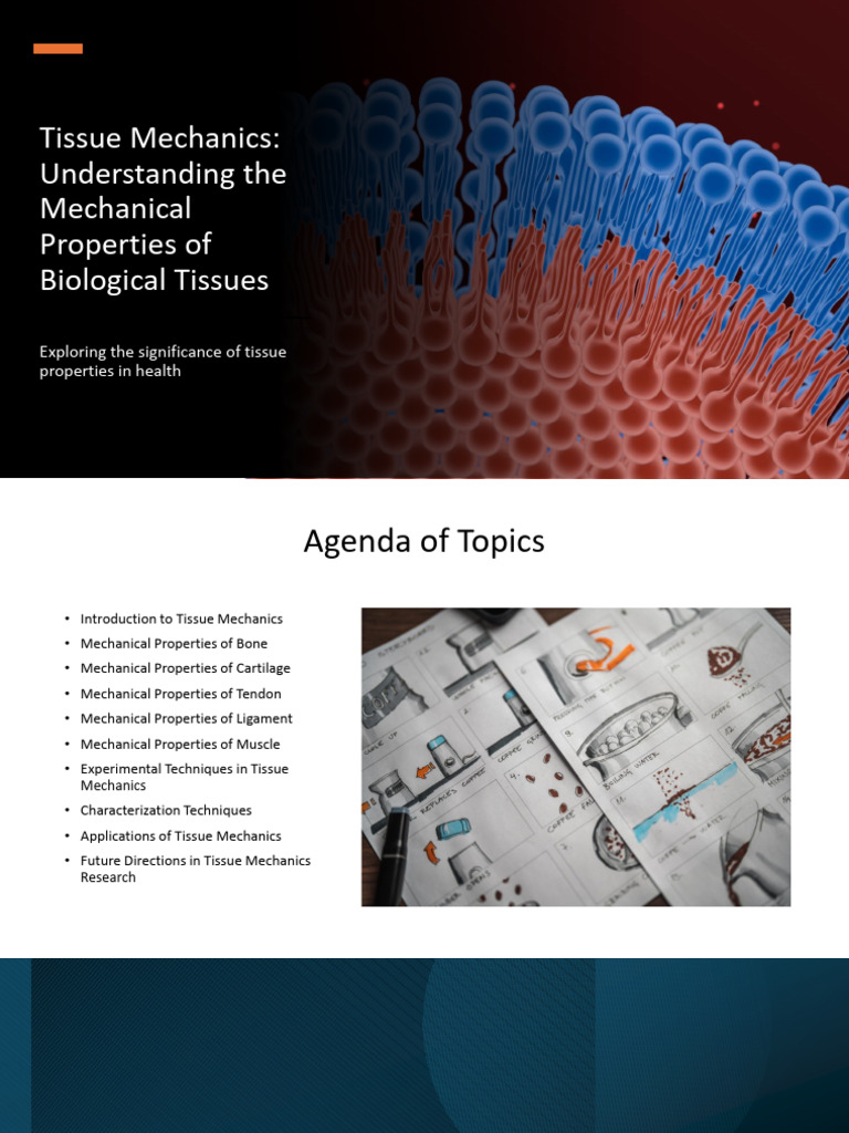 9 - 9-tissue-mechanics | PDF | Tendon | Cartilage