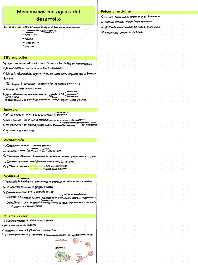 Embrio Resumo | PDF | Ciclo menstrual | Embrión