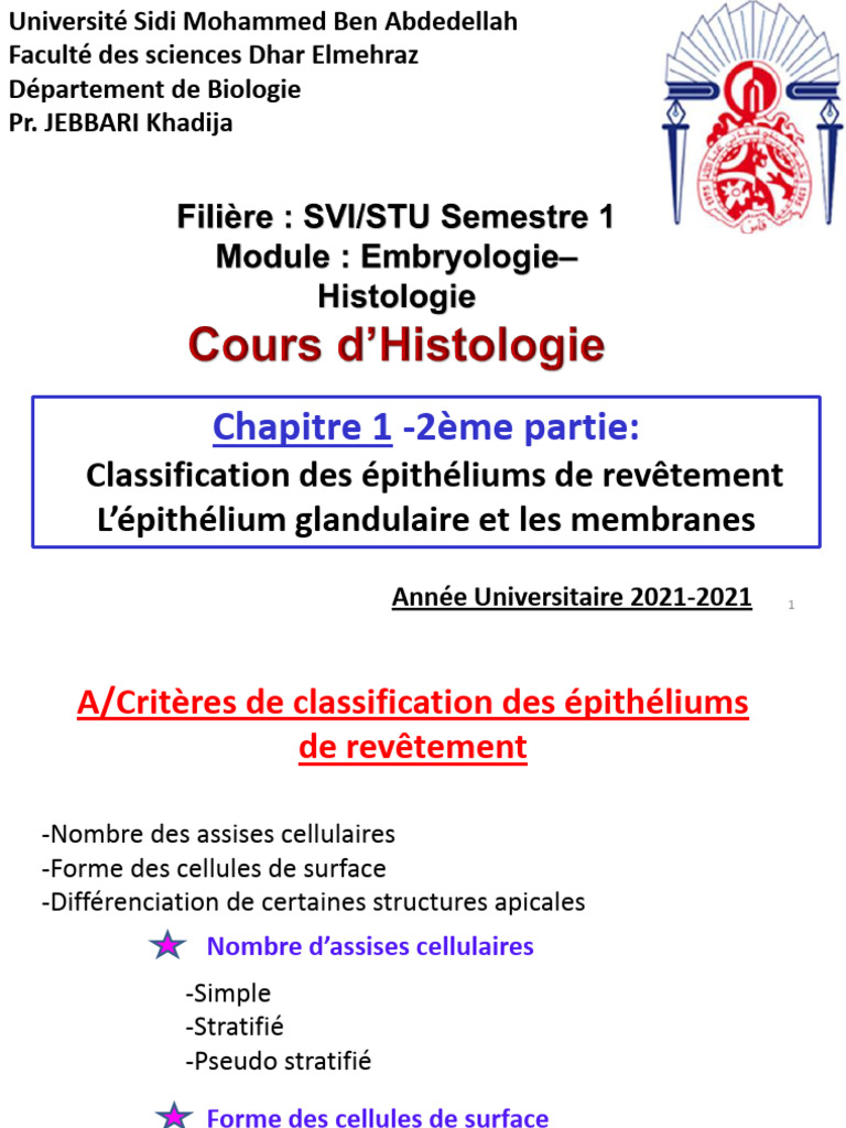 Classification des épithéliums et glandes | PDF | Épithélium | Glandes