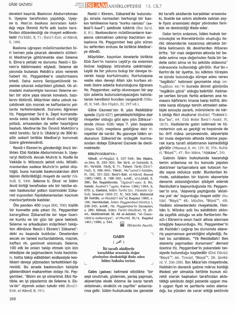 TDV DİA Gabin Kavramı | PDF