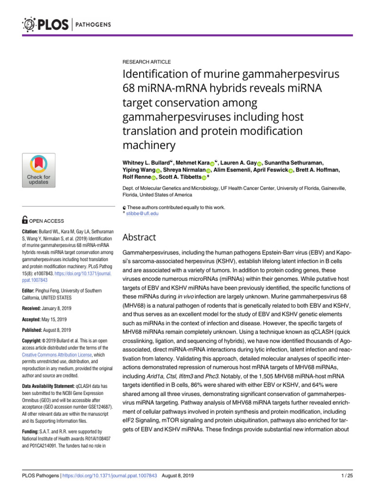 Identifcation of MHV68 miRNA Targets | PDF | Micro Rna | Messenger Rna