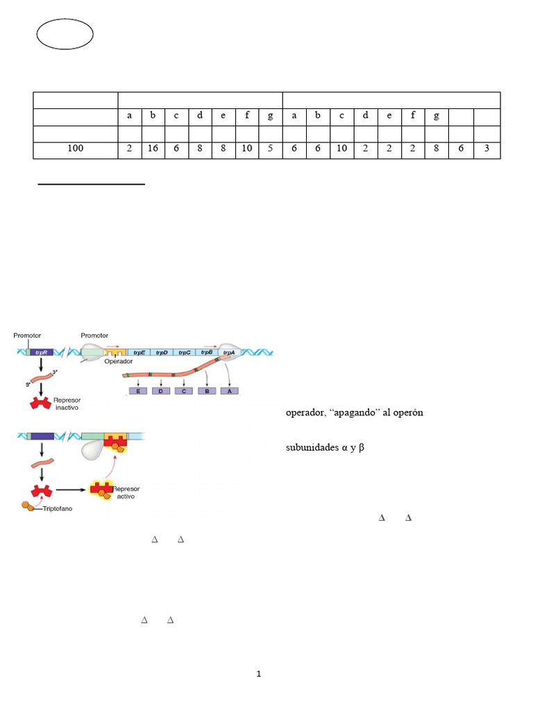 Parcial TP IBMC 2019 | PDF | Represor | Plásmido
