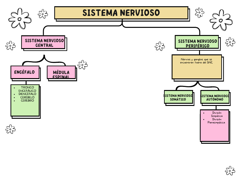 Gráfica Mapa Conceptual Simple Colorido | PDF