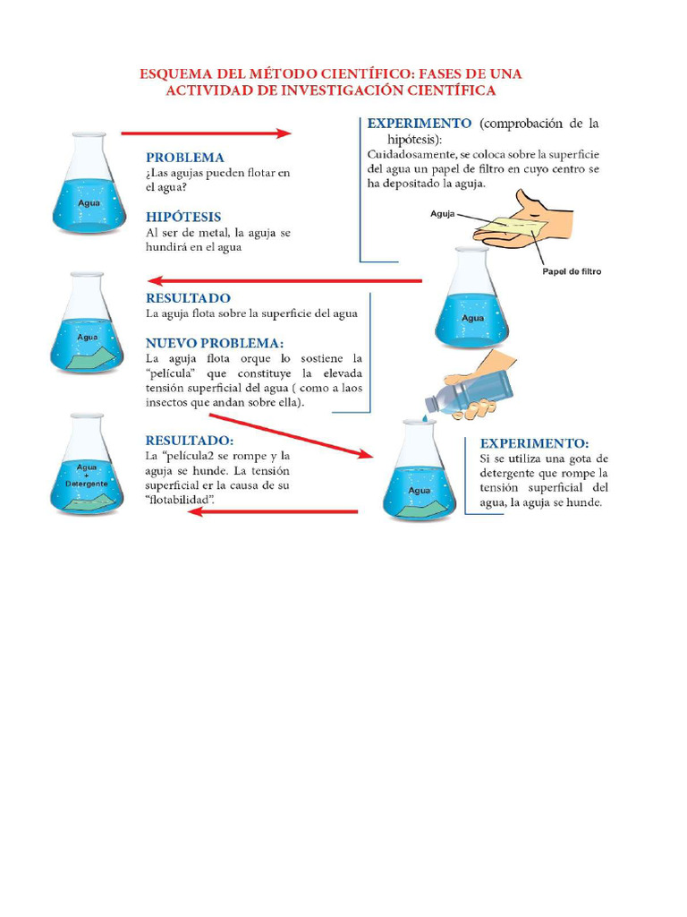 2do Ficha Trabajo Metdo Cientifico B-01 | PDF