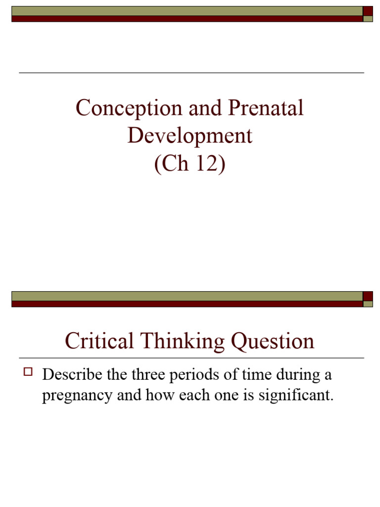 CH 12 Conception and Prenatal Development | PDF | Menstrual Cycle | Anatomy
