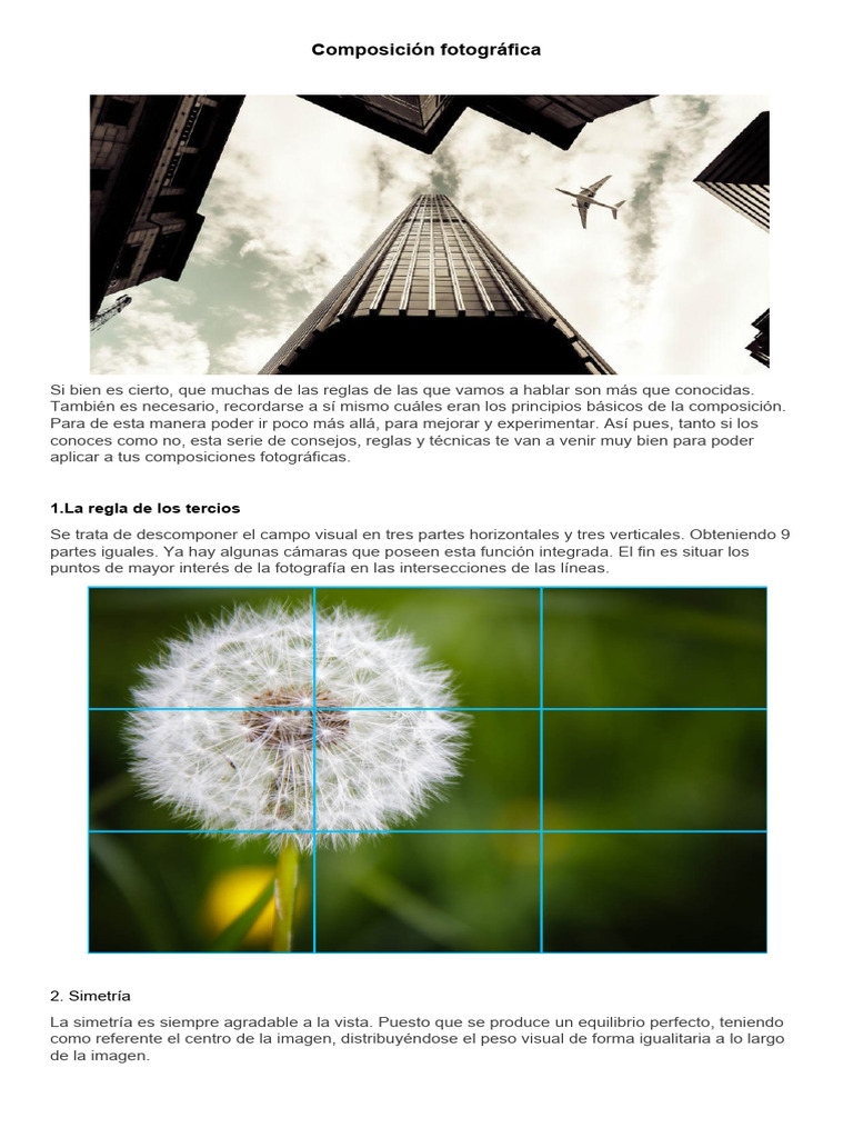 Técnicas de Composición Fotográfica | PDF | Composición (artes visuales ...