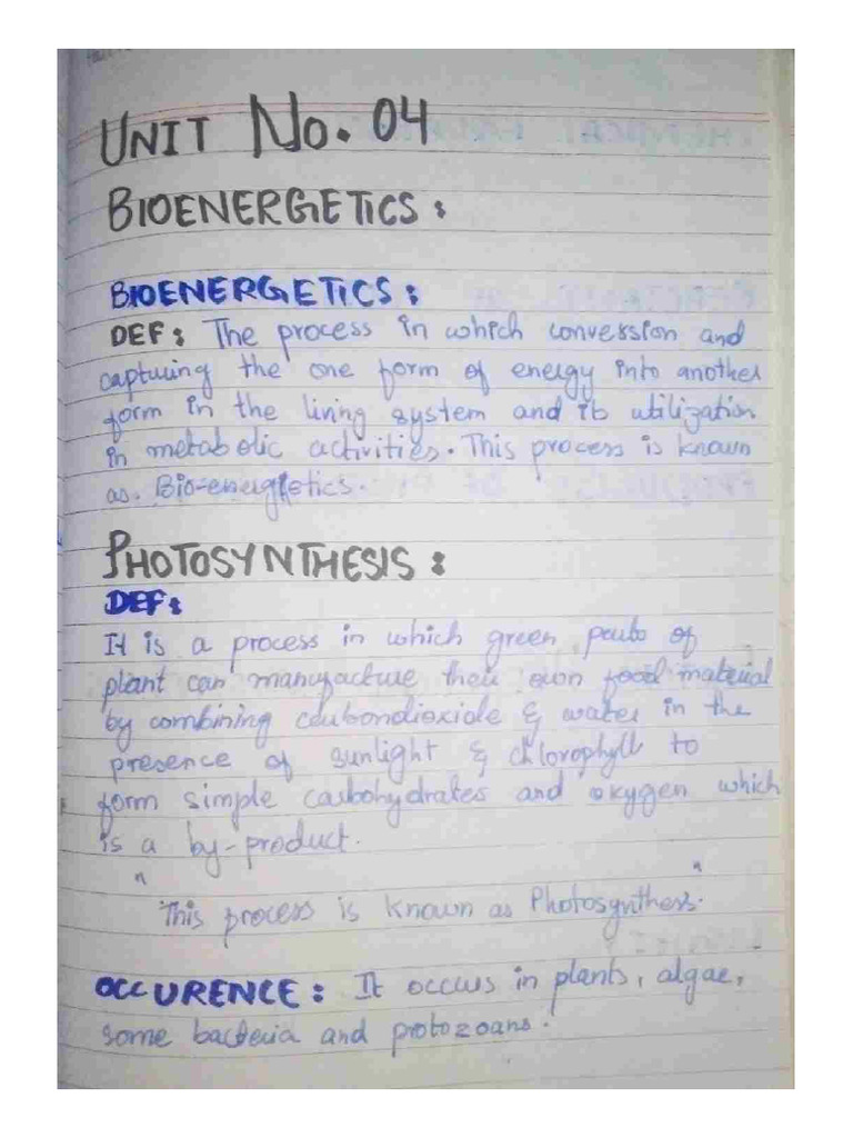 Unit 04 (Bioenergetics) | PDF