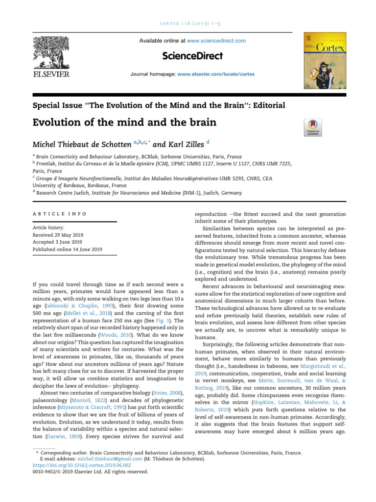 Evolution of Mind and Brain Insights | PDF | Cerebral Cortex | Brain