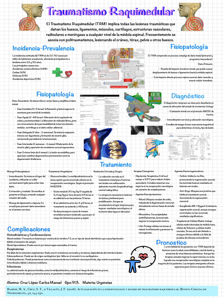 Traumatismo Raquimedular: Diagnóstico y Tratamiento | PDF | Lesión de ...