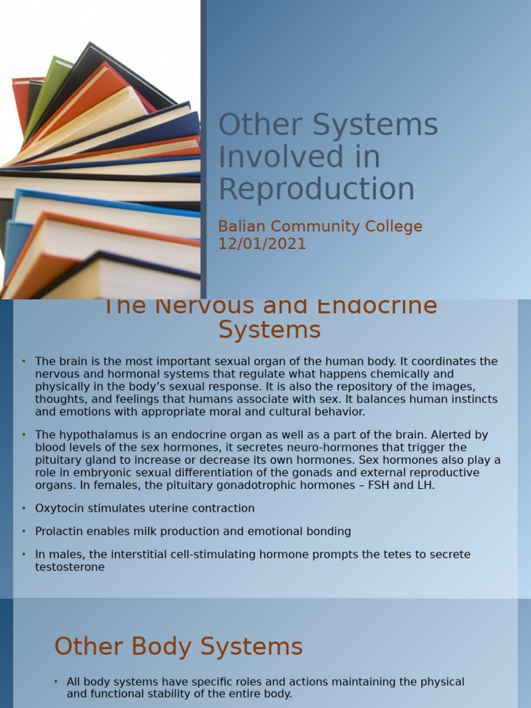 Systems Involved in Reproduction | PDF
