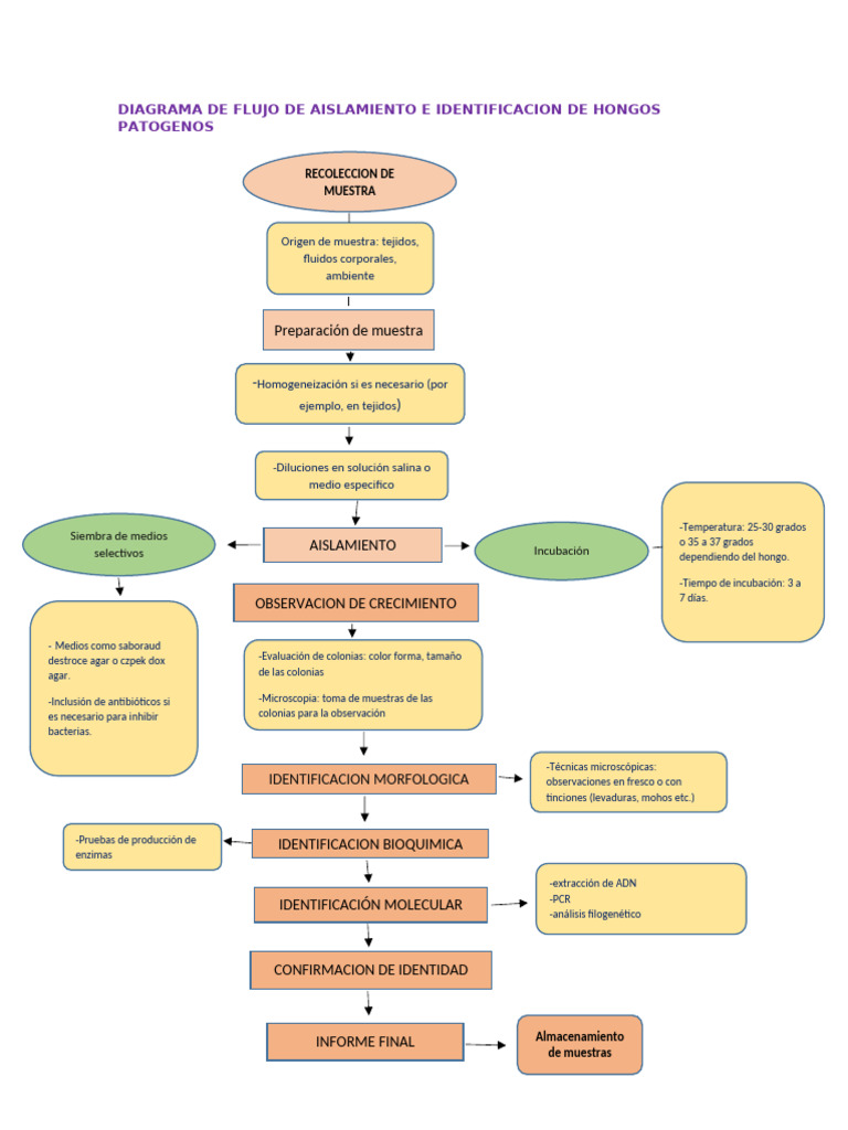 Diagrama de Flujo de Aislamiento e Identificacion de Hongos Patogenos ...
