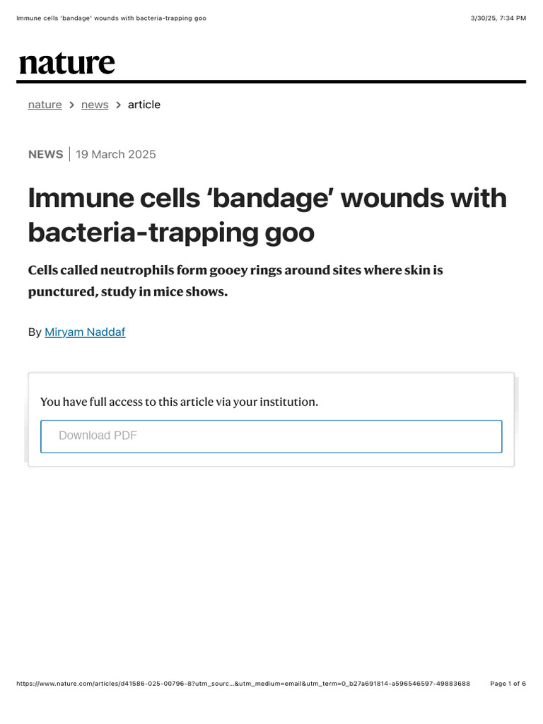 Immune Cells Bandage' Wounds With Bacteria-Trapping Goo | PDF | White ...