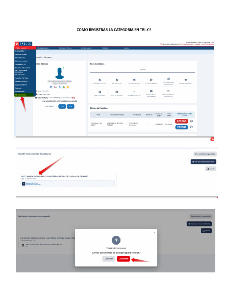 COMO REGISTRAR LA CATEGORIA EN TRILCE | PDF