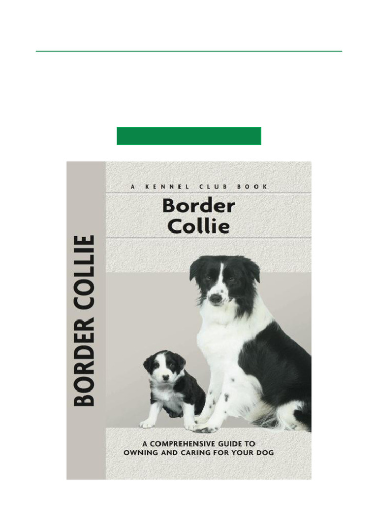 Border Collie Guide and Resources | PDF