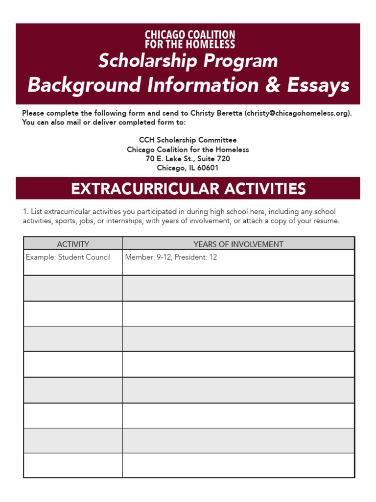 Background Info Essays Form 2024 Fillable | PDF