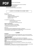 Anatomie2an-Systeme Porte | PDF | Foie | Pancréas