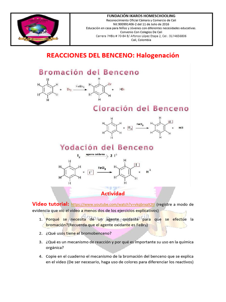 REACCIONES DEL BENCENO: Halogenación: Actividad Video Tutorial | PDF