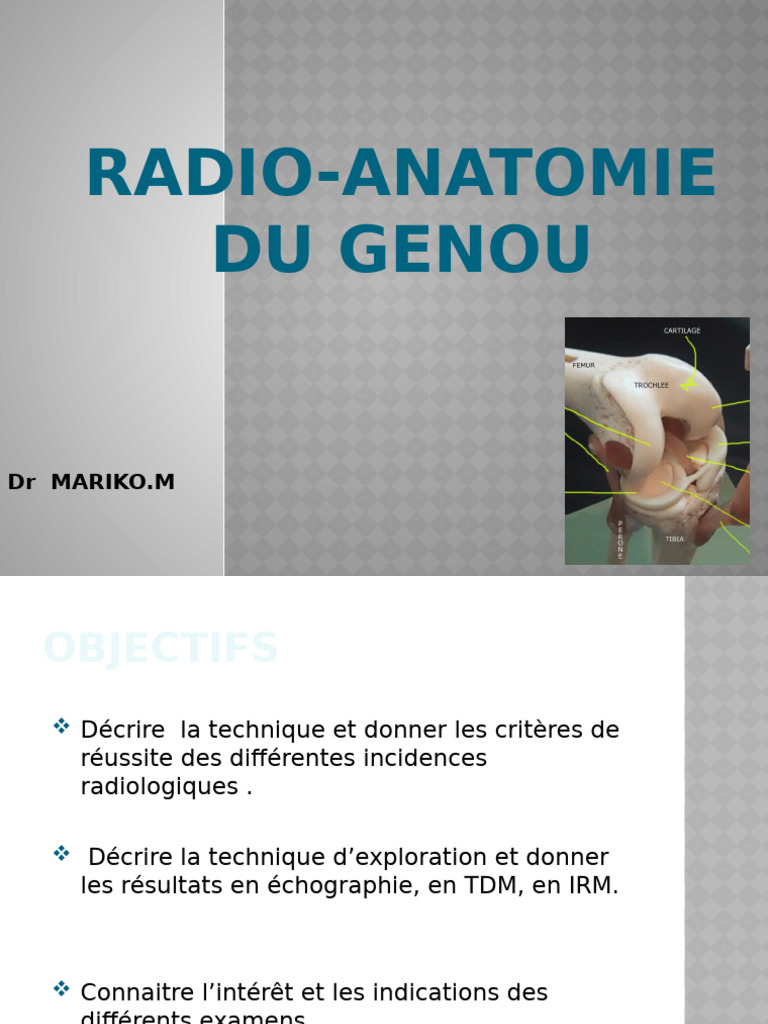 Radio-anatomie du genou et techniques | PDF | Genou | Anatomie humaine