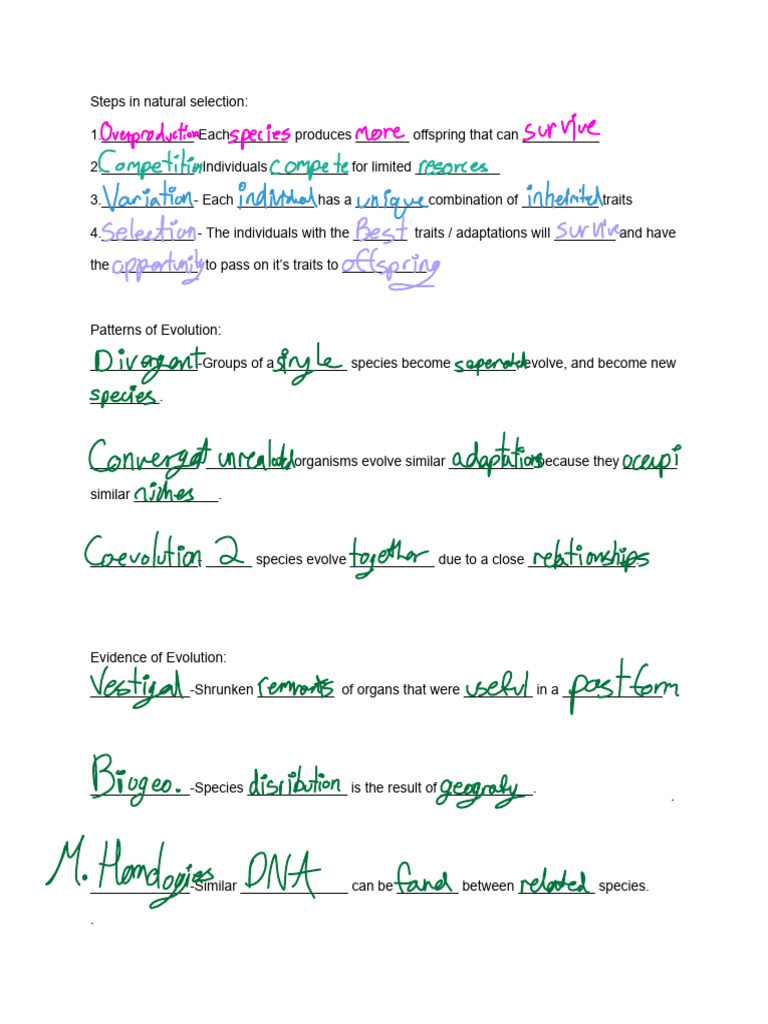 Evidence of Evolution Guided Notes | PDF