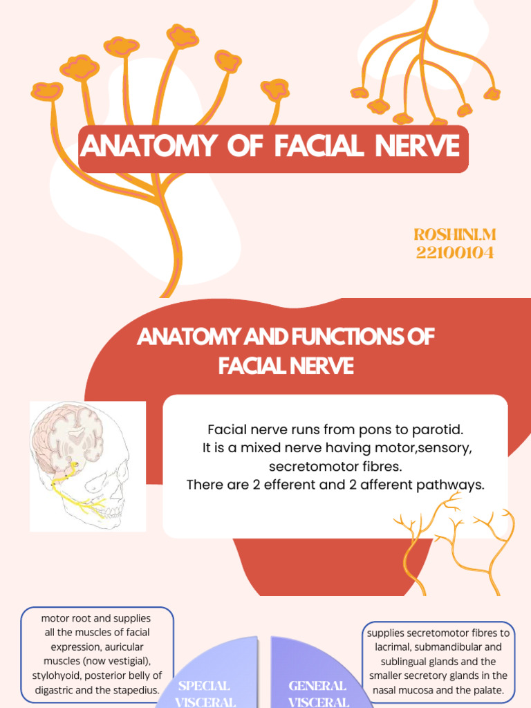 Sensory Receptors Presentation in Pink Blue Hand Drawn Style PDF | PDF ...