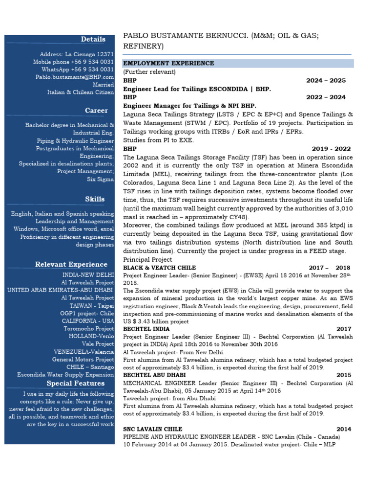 CV_Pablo Bustamante Bernucci_2025 (1) | PDF | Materials