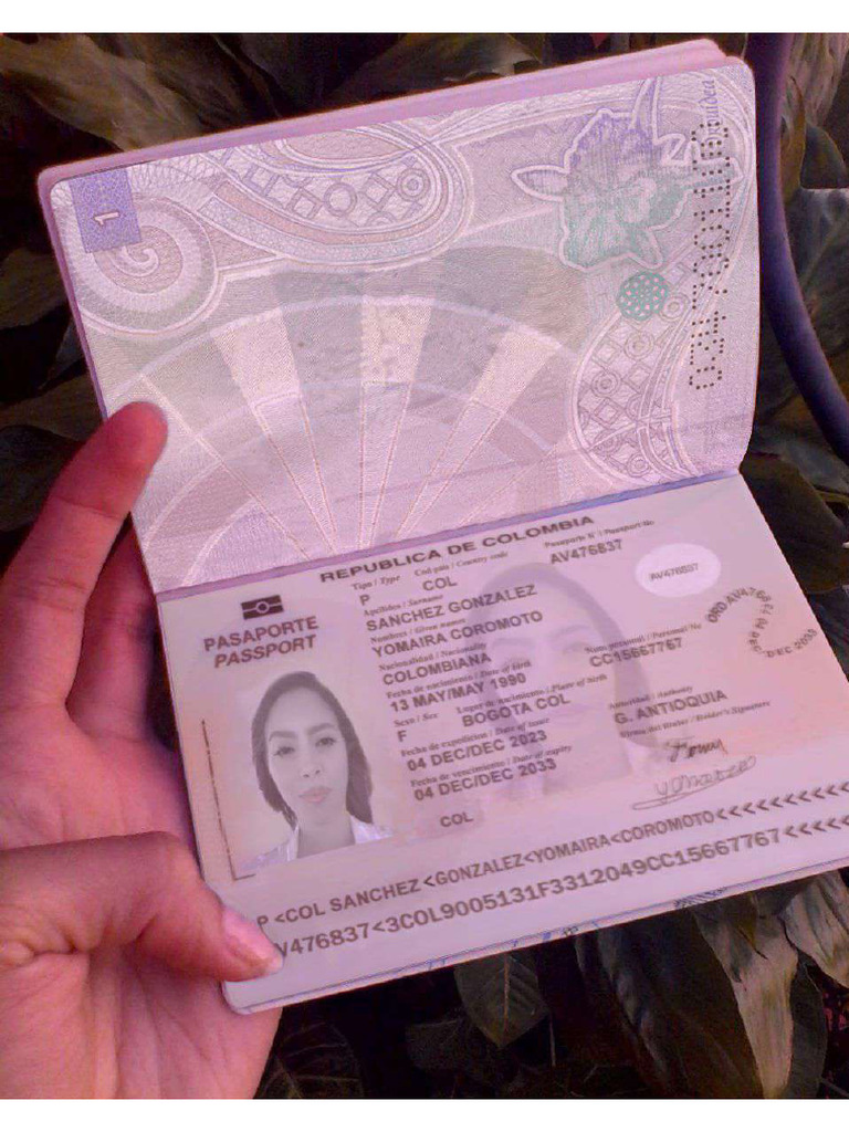Passport | PDF