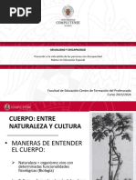Diptico Caef Final 0 | PDF