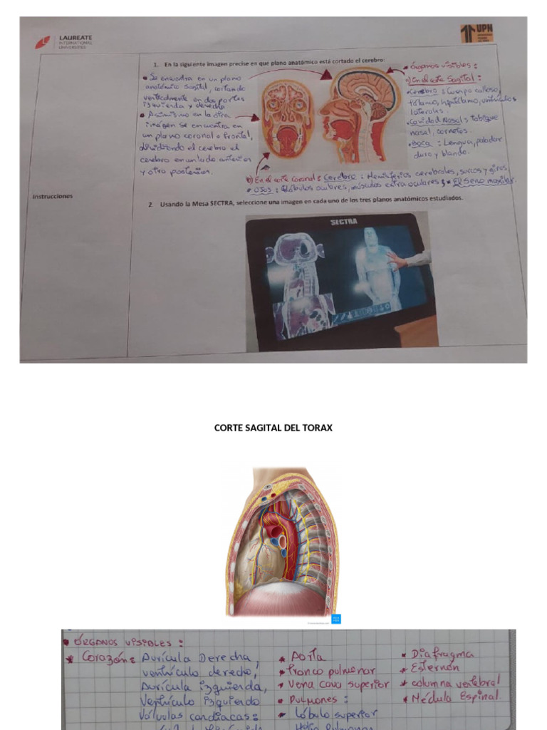 Jhon Orosco Lopez | PDF