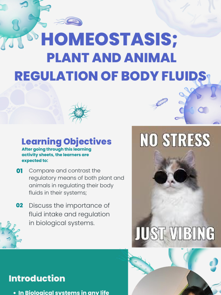 Homeostasis Plant and Animal Regulation of Body Fluids - 20250406 ...
