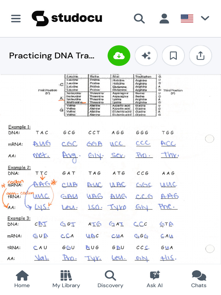Practicing DNA Transcription and Translation - KEY - Remember A Codon ...