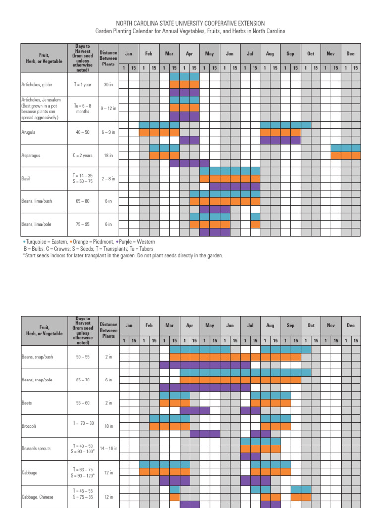 NC Vegetable Planting Guide | PDF | Vegetables | Cabbage