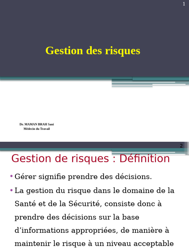 Gestion Du Risque V | PDF | Risque | Gestion des risques