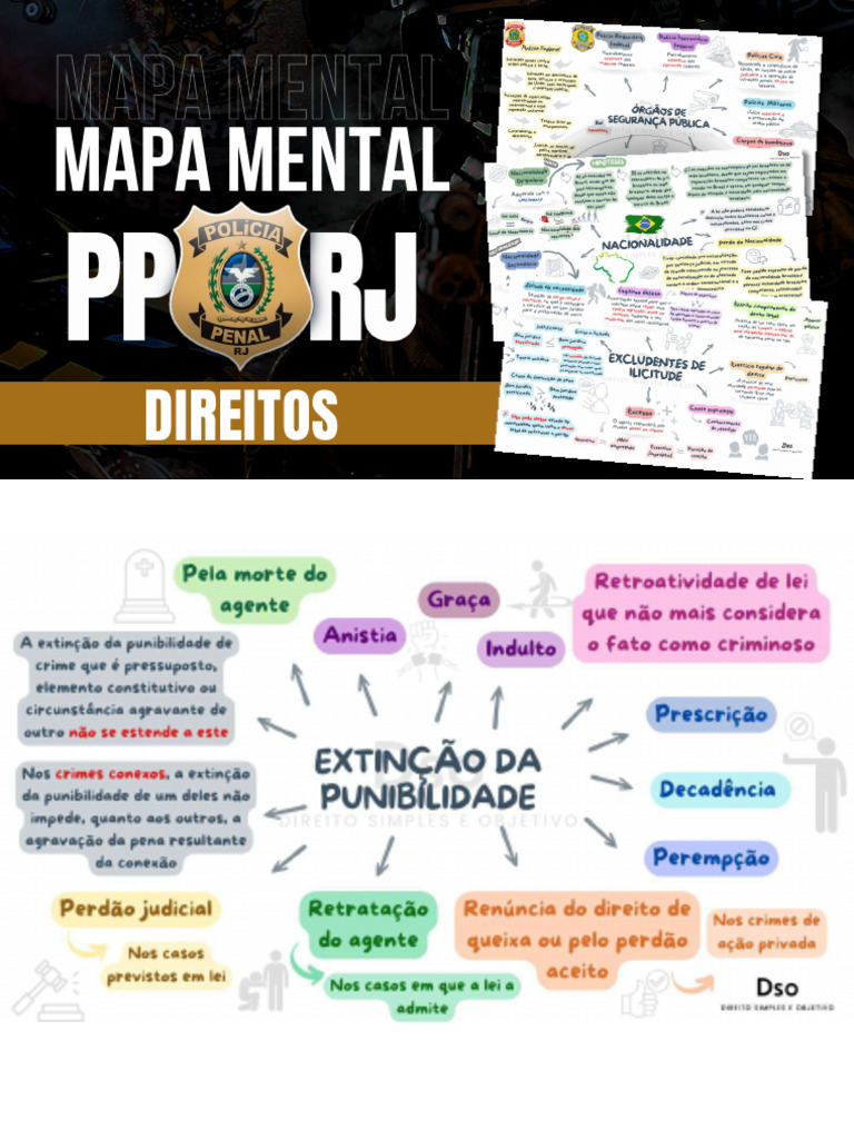 Mapa Mental de Direitos Para Pp Rj Compressed | PDF