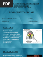 Oral Mechanism Exam PDF 240927 224723 | PDF | Tongue | Mouth