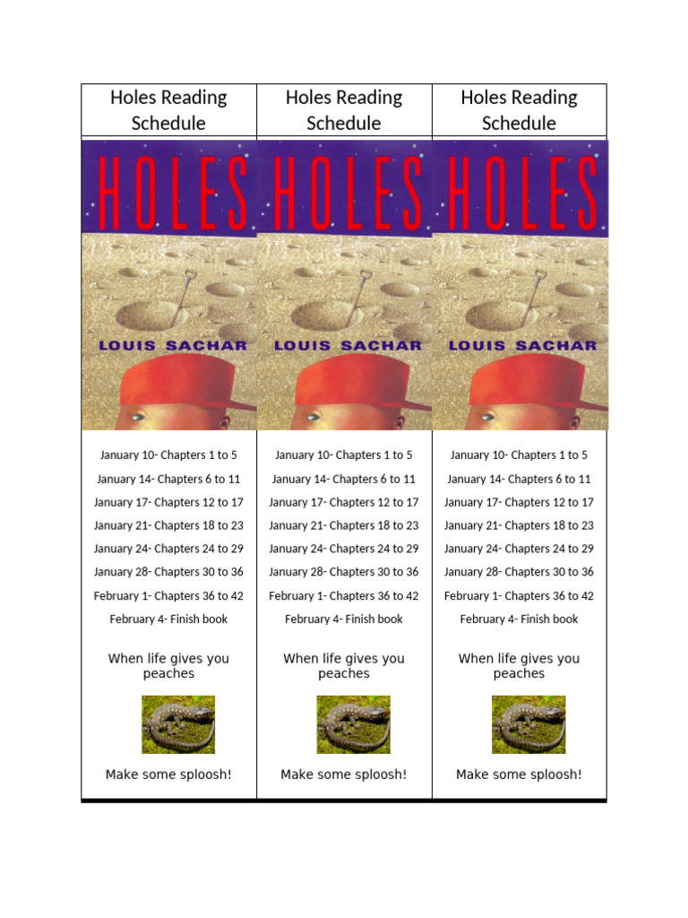 Holes Reading Schedule by Chapters | PDF