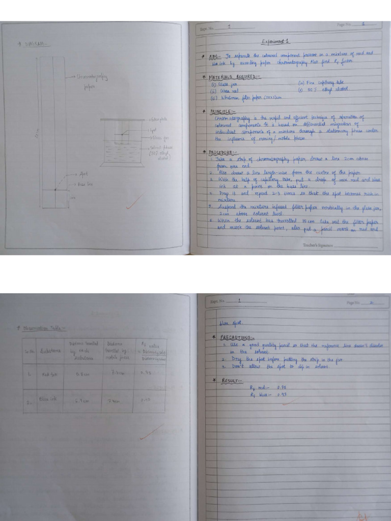 Expt-14; Blue & Red ink Chromatography (Content based Expt) | PDF