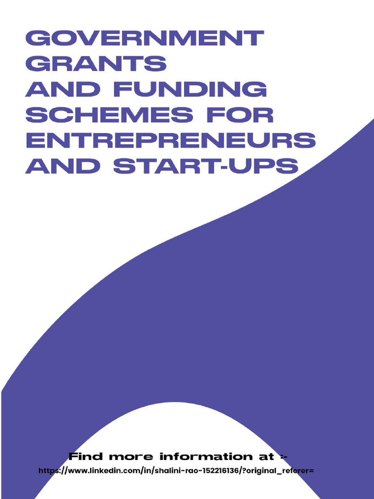 Government Grants and Funding Schemes for Entrepreneurs | PDF